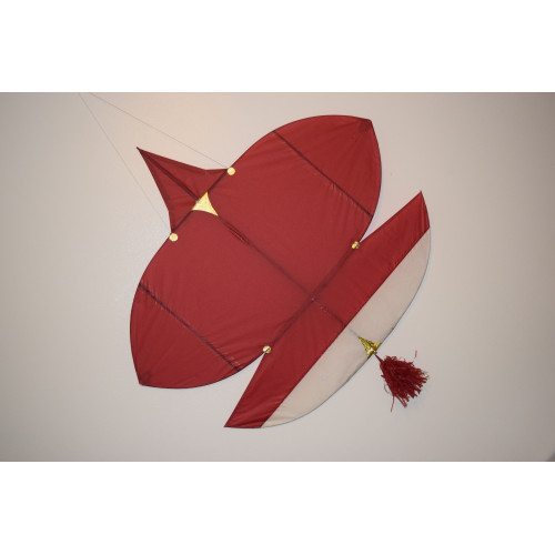 Pakistani Kites Online Store in New York