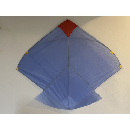 Pakistani Kites Online Store in New York